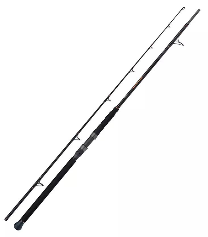 Shimano Beastmaster AX Catfish Multi 230cm 200g Spinning 2pc Spinning ...