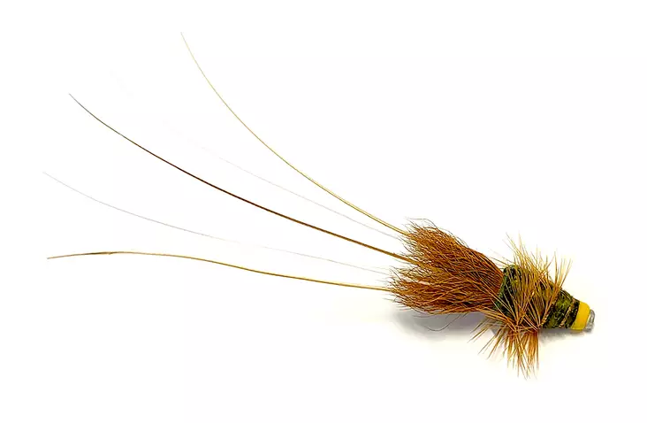 Olive Frances Tungsten Tube - Ruoto.com webstore