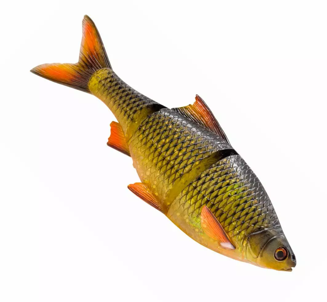 Savage Gear 3D Line Thru Roach 32cm Slow Sink Softbait for Big Pike - Ruoto.com webstore